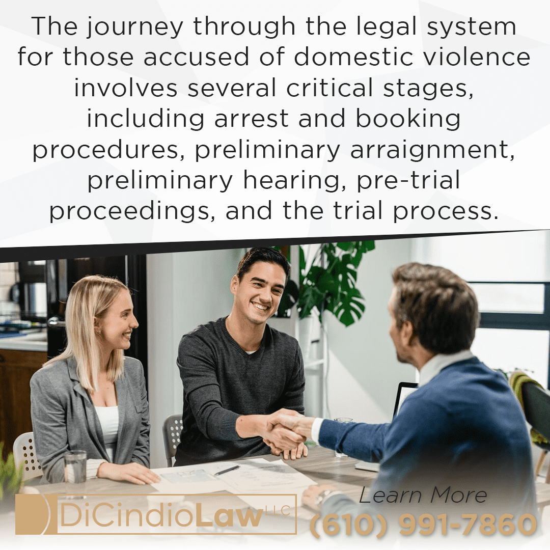 Taking Control: A Guide to the Legal System After Domestic Violence ...